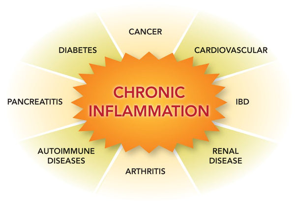 inflammation-root-of-all-disease-and-conditions-www.velaravelaqua.com ...